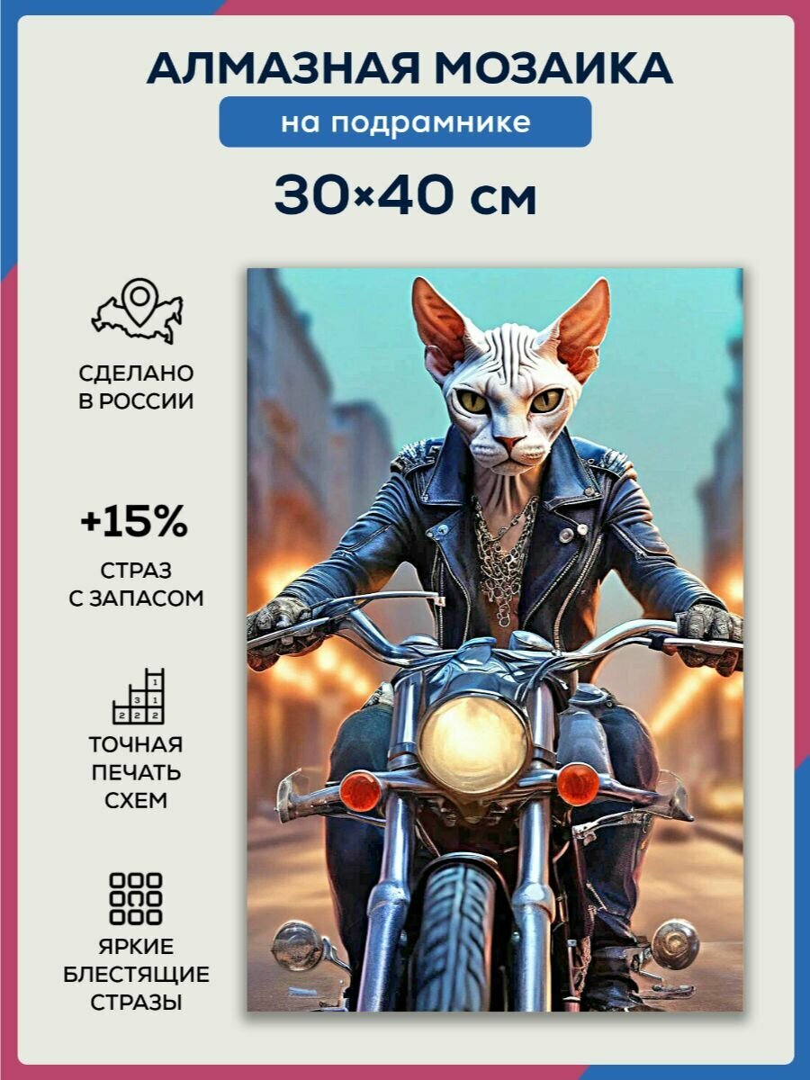 Алмазная мозаика 30x40 Сфинкс - мотоциклист на подрамнике