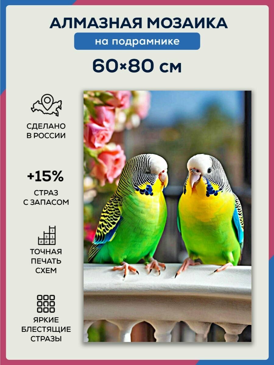 Алмазная мозаика 60x80 Волнистые попугаи на подрамнике