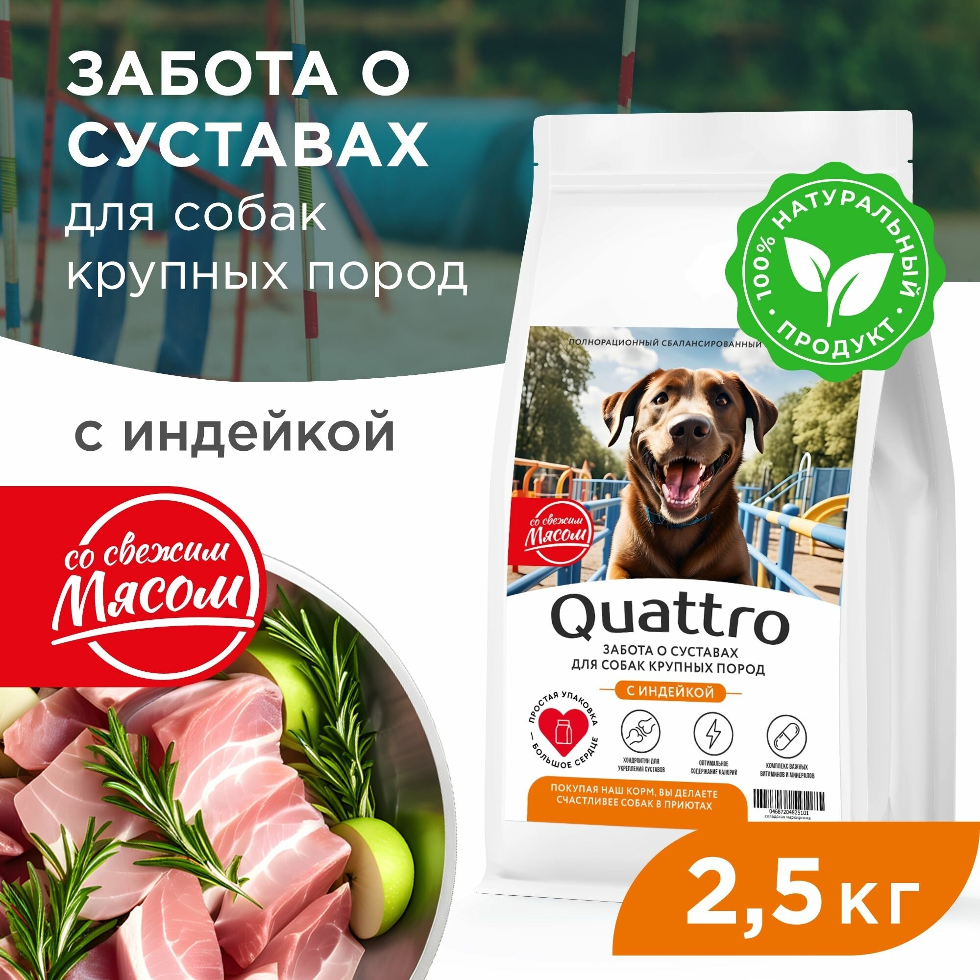 Корм сухой для взрослых собак крупных пород, премиум полнорационный комплекс, забота о суставах, с индейкой, 2,5 кг, QUATTRO