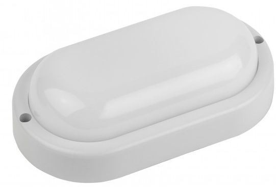 Cветильник настенно-потолочный ЭРА SPB-202-0-40K-012, светодиодный, 4000К 12Вт IP65, Б0047621 / для дома и улицы