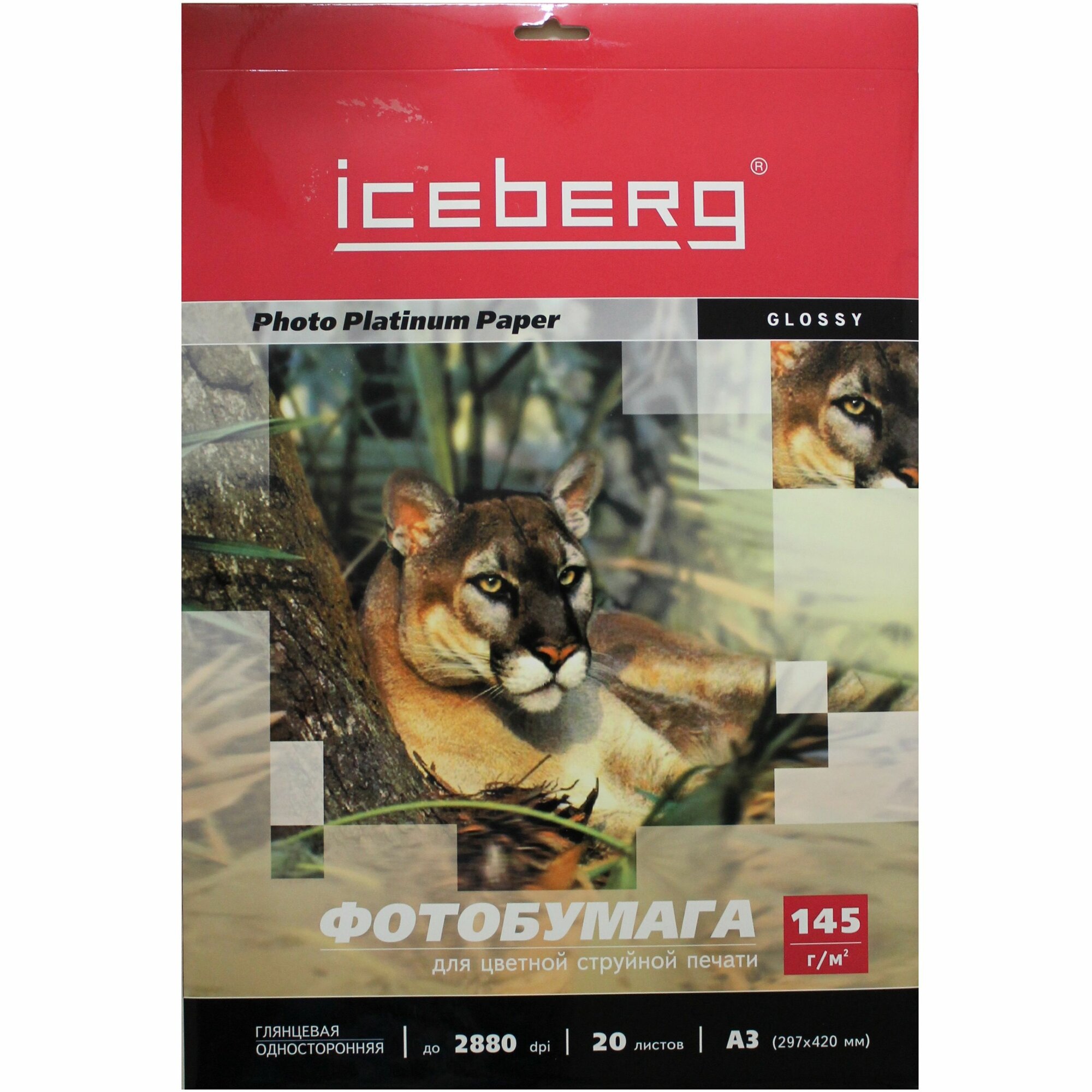 Фотобумага глянцевая А3, 145 г/м, 20 листов (комплект 2 штуки!)