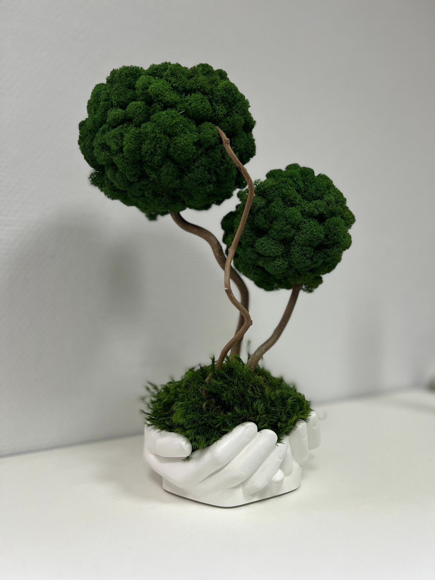 Дерево со мхом 40 см, Бонсай стабилизированный мох, настольный декор Дерево жизни, китайское дерево