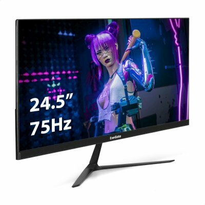 Монитор SmartView EH1500 — фото 1