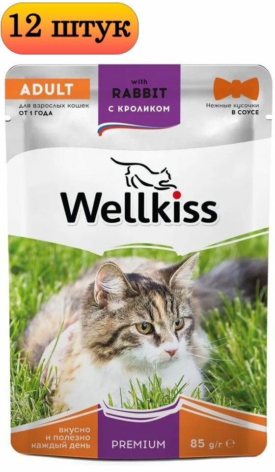 12шт Wellkiss Adult Влажный корм (пауч) для взрослых кошек, с кроликом в соусе, 85 гр.
