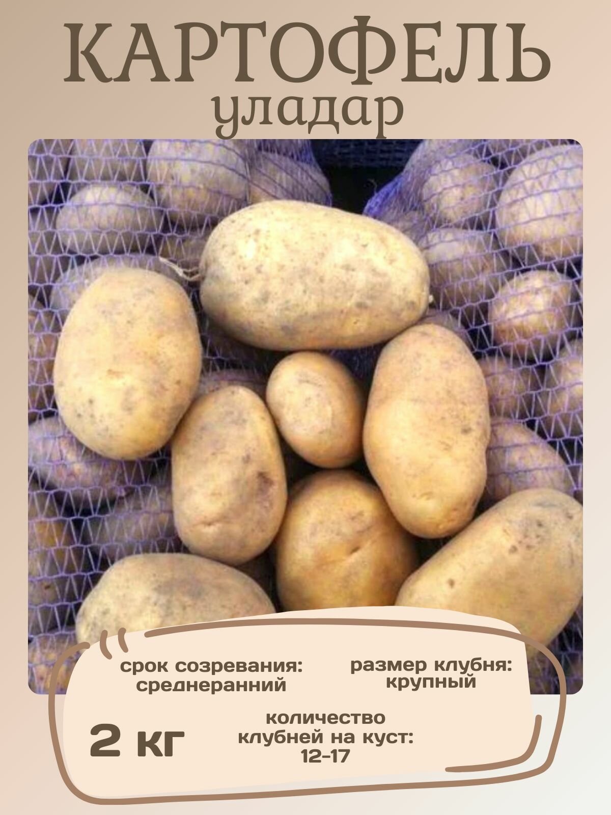 Картофель семенной 2 кг, на посадку