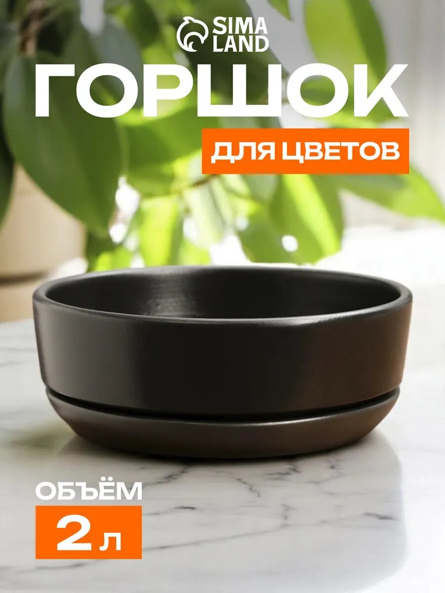 Горшок - бонсайница «Огма» керамический, для кактусов и суккулентов, 2 л, с поддоном, чёрный