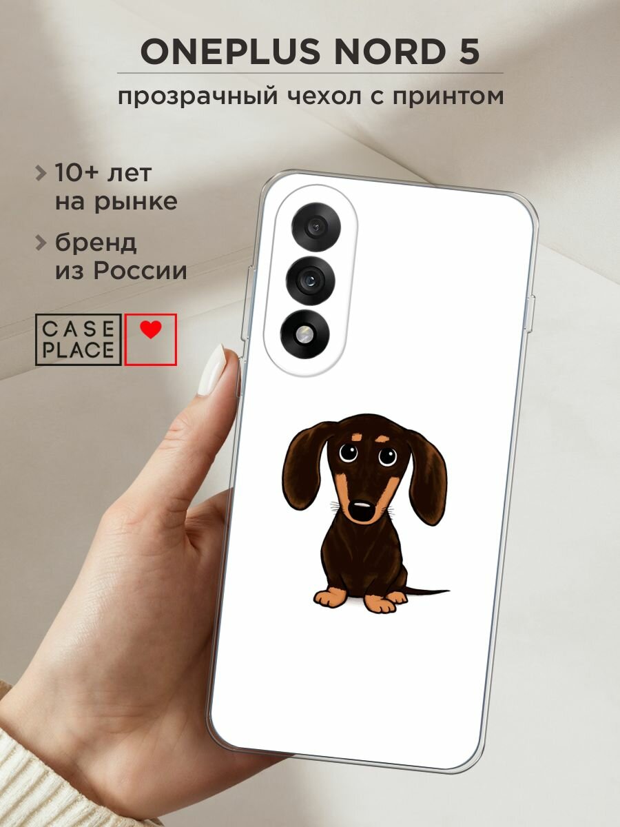 Чехол на OnePlus Nord 5 / Ван Плас Норд 5 с принтом "Маленькая такса"