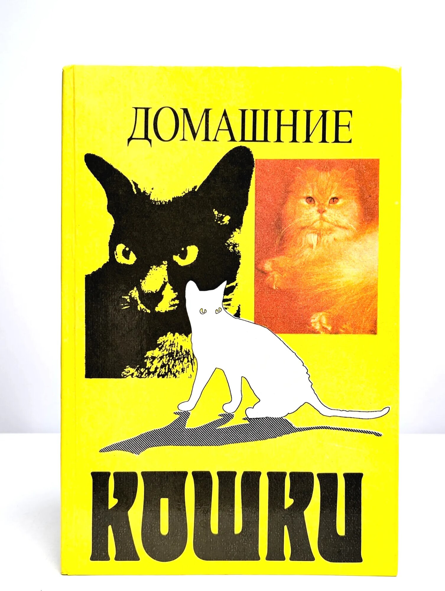 Домашние кошки сост. Филиппов Юрий Иванович 1991