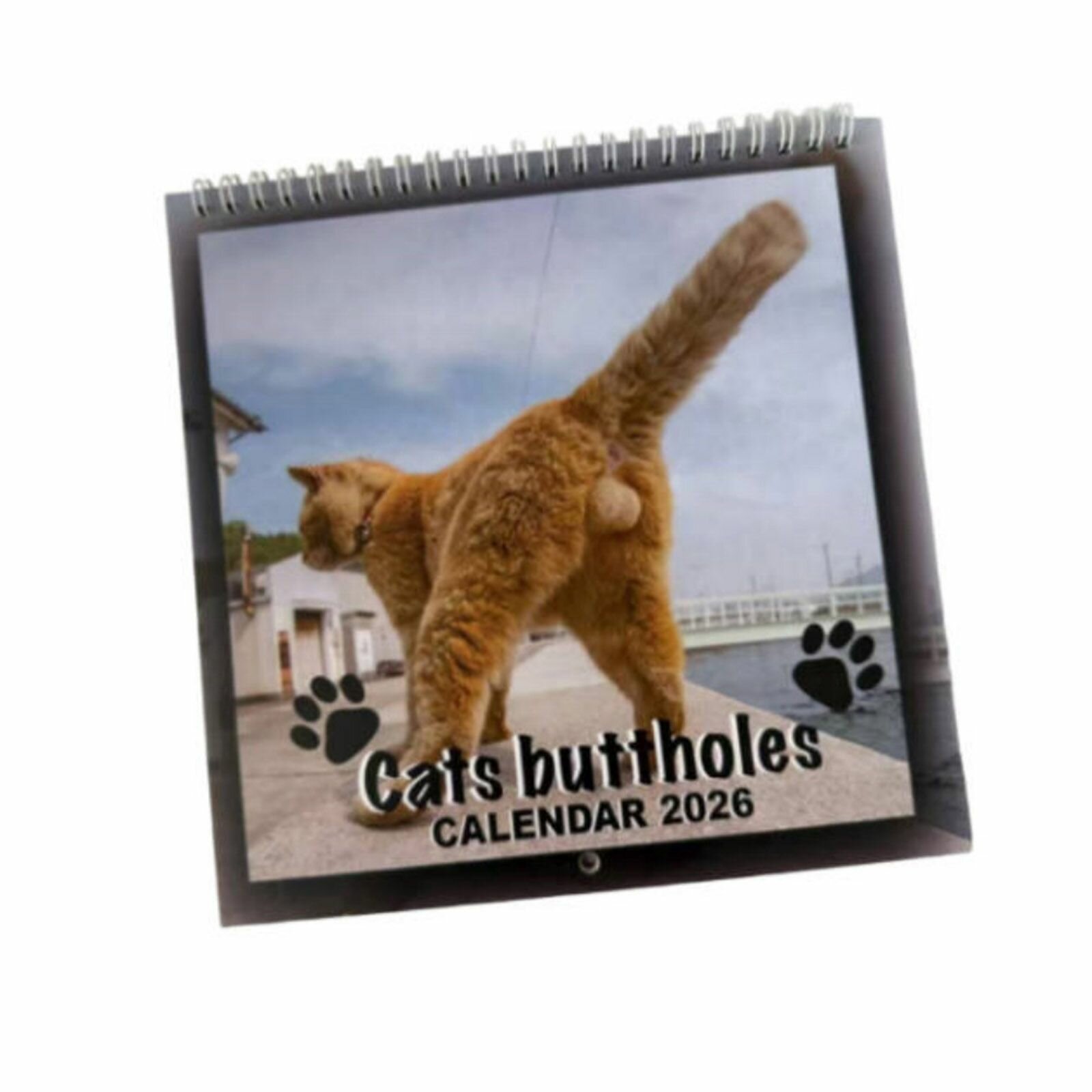 2026 Cat Butt Holidious Desk Calendar Симпатичный настенный календарь для гостиной спальня