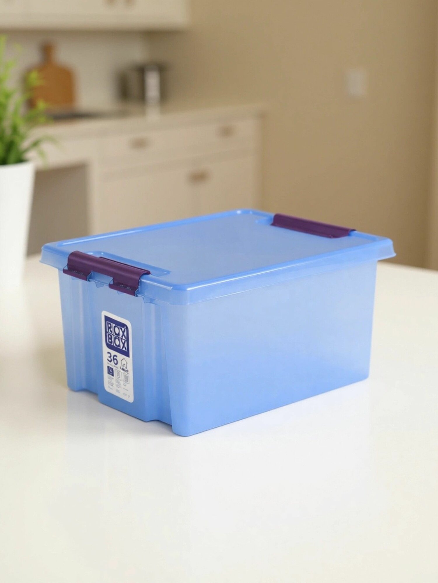 Контейнер пластиковый для хранения RoxBox HOME с крышкой, 36л, 50 х 39 х 25,5 см, голубой