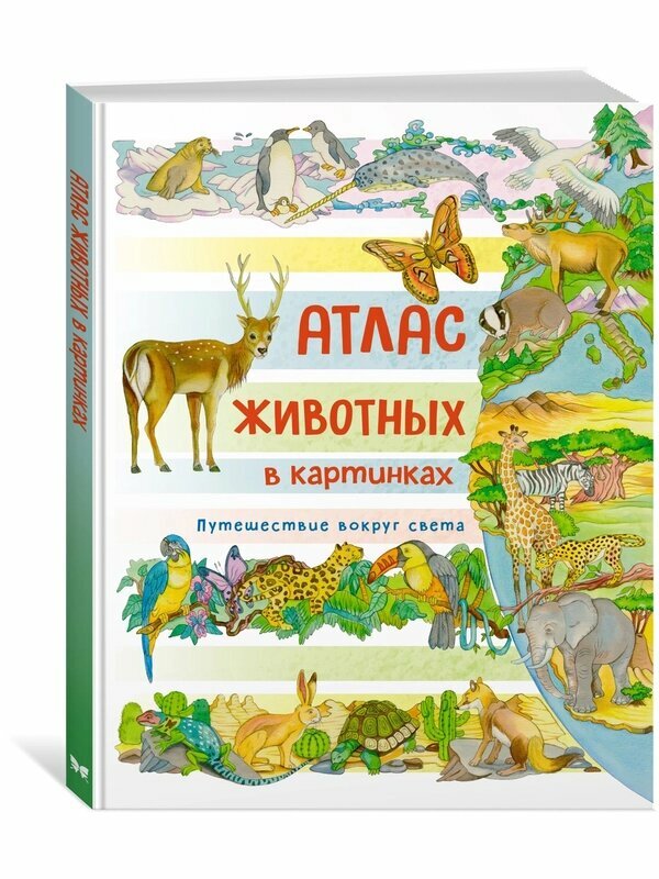 Атлас животных в картинках. Путешествие вокруг света