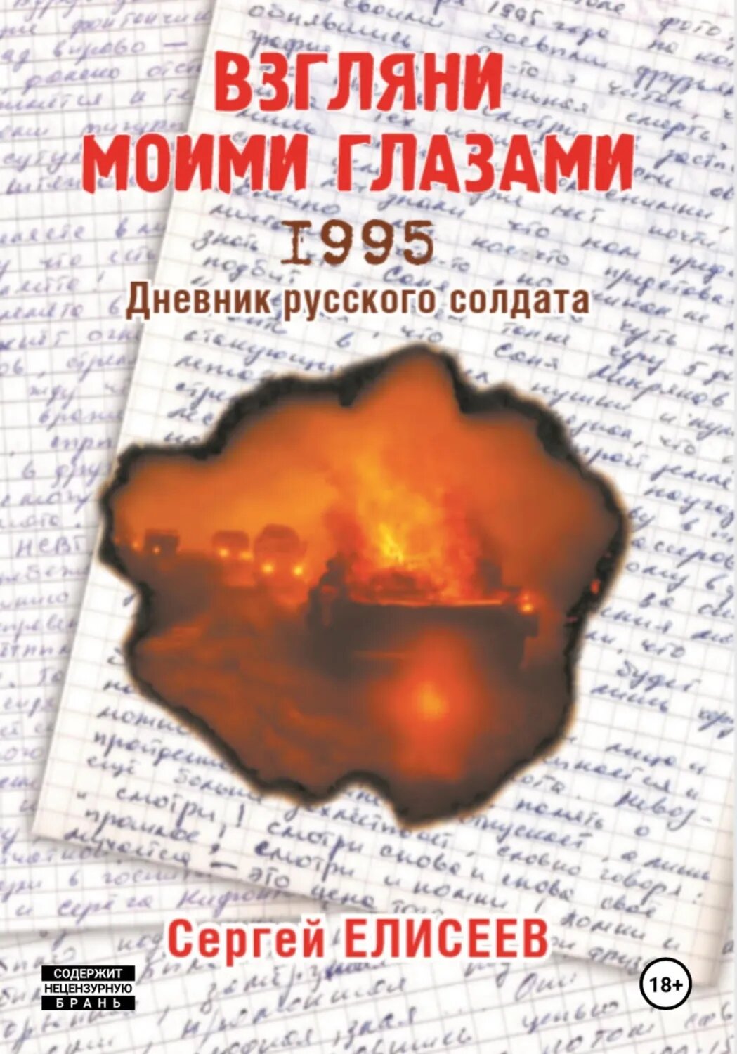 Взгляни моими глазами. 1995. Дневник русского солдата [Цифровая книга]
