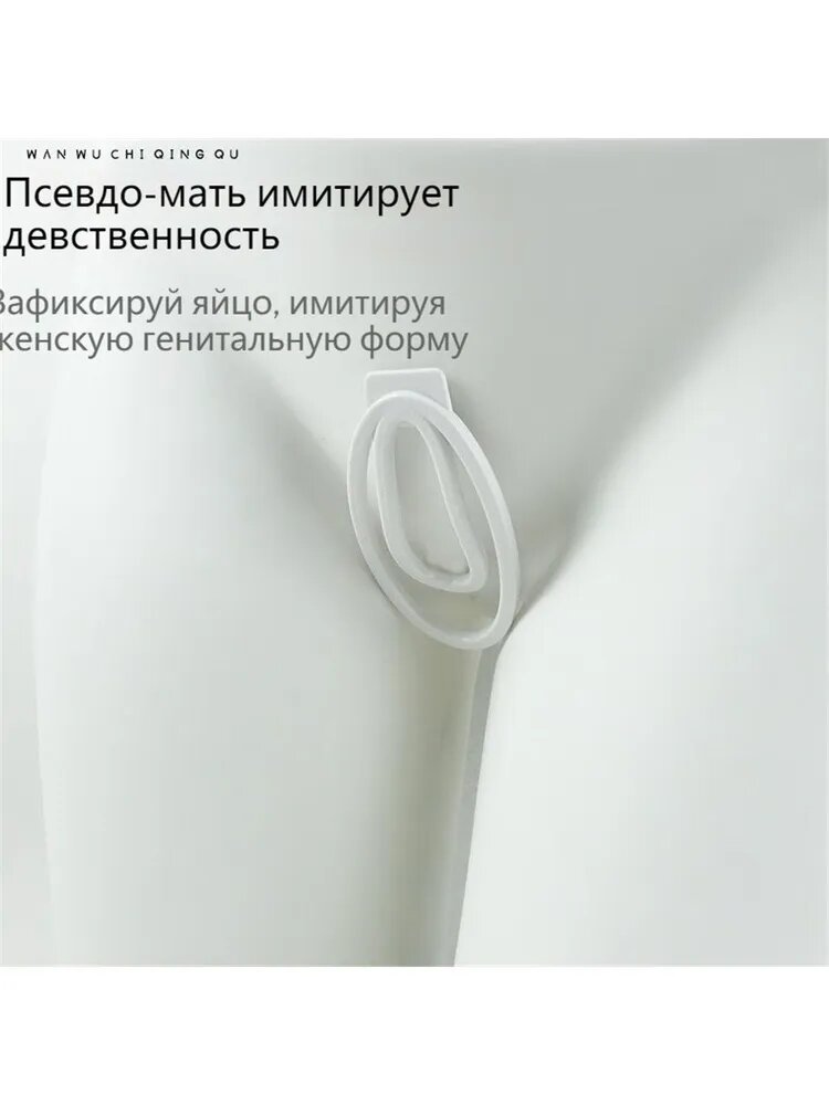 Аксессуар бдсм, пояс верности мужской 18+