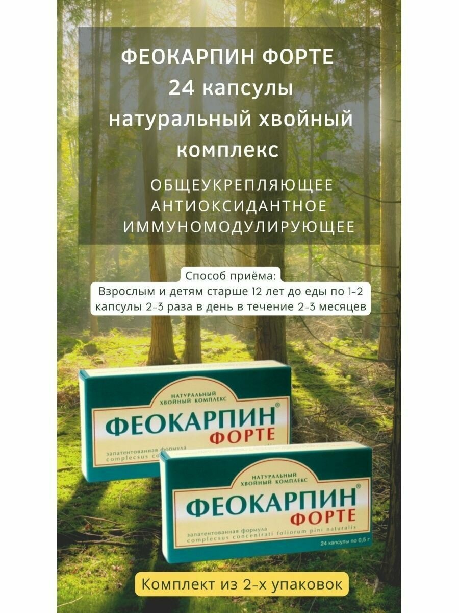 Феокарпин Форте 24 капсулы поливитамины хвойный комплекс