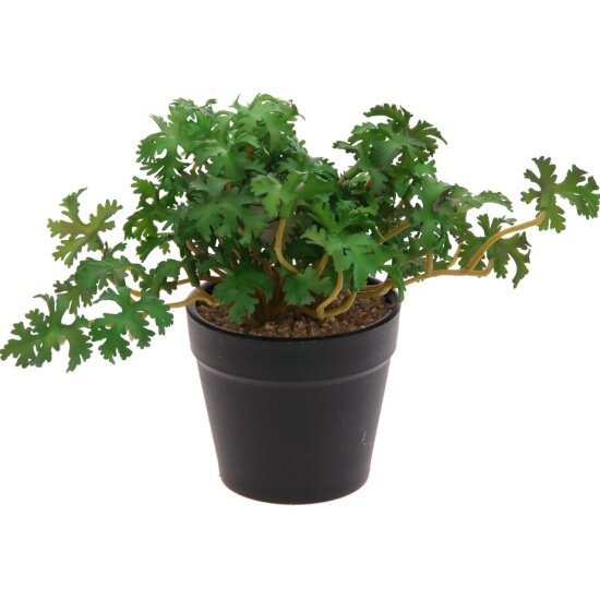 Цветочная композиция Remeco Collection 15х15х15 см (795691)