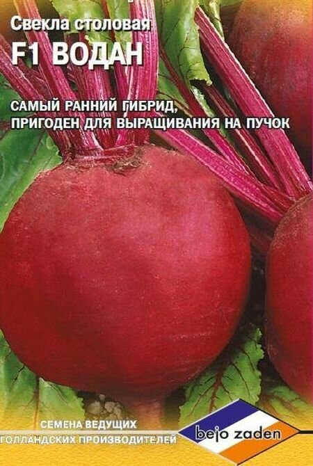 Семена Свекла Водан F1
