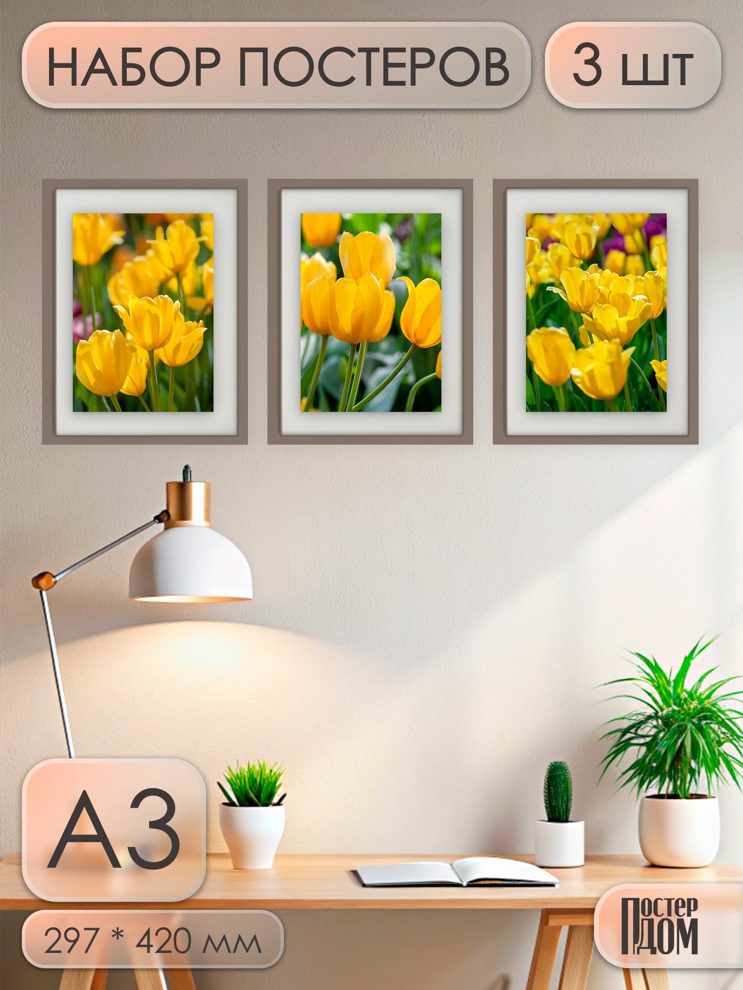 Постеры интерьерные на стену эстетика Тюльпаны