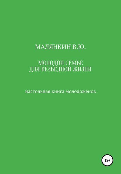 Молодой семье для безбедной жизни. Настольная книга молодоженов [Цифровая книга]