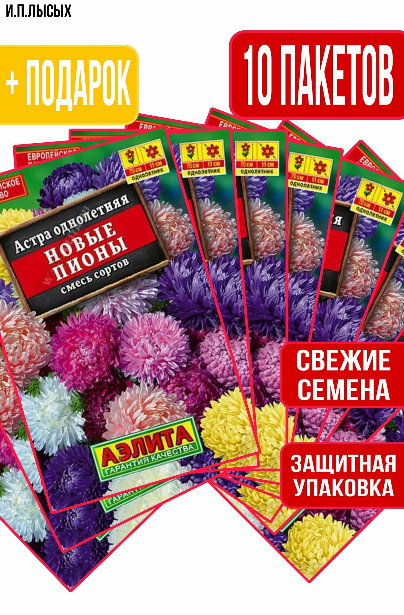 Семена Астра , Новые пионы, смесь сортов