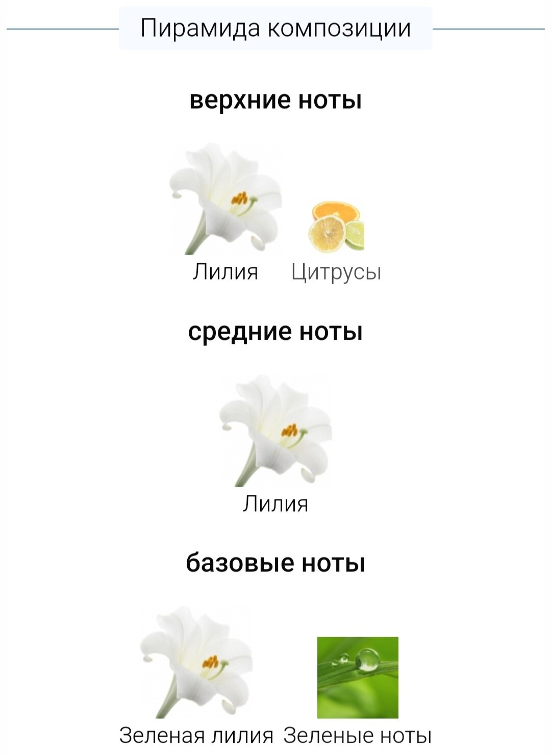 Духи ручной работы по мотивам 'Baiser Vole', Картье, для женщин. Lu Parfume — фото 1