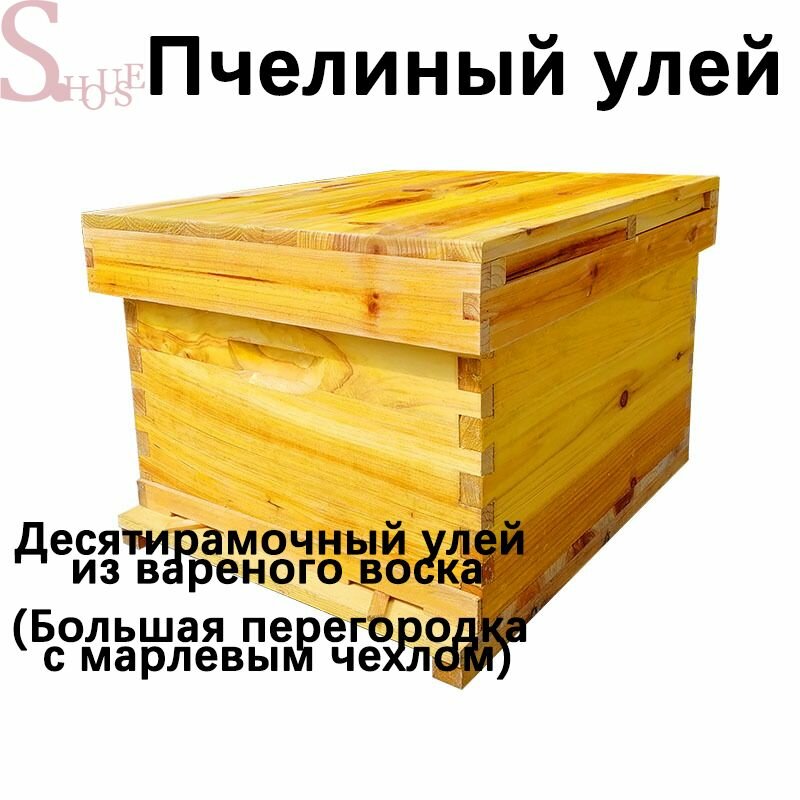 Улей