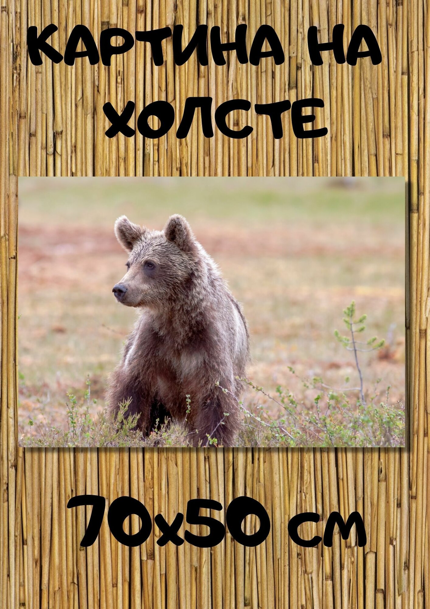 Картина с дикими животными "Один медвежонок" 70х50 см