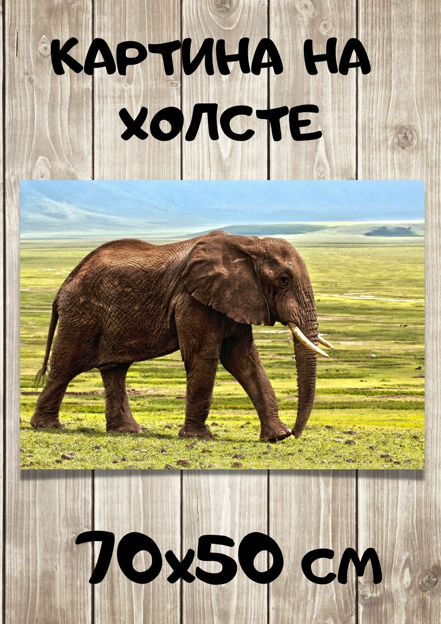 Картина с дикими животными "Слон в саванне" 70х50 см