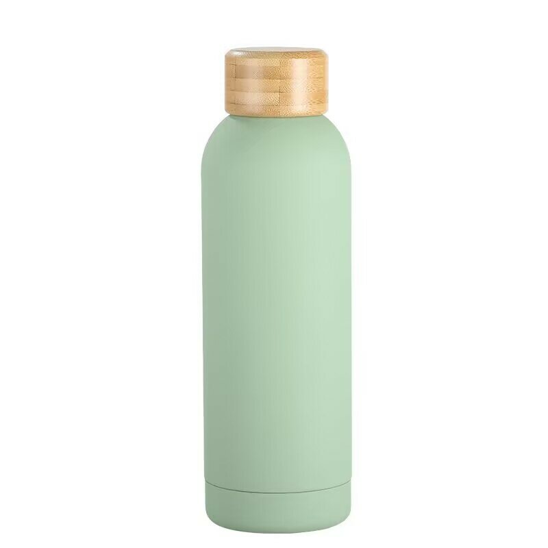 Бутылка для воды Hydroniq SteelColour Bamboo Pistachio, 500 мл, металлическая, спортивная, термос, Гидроник