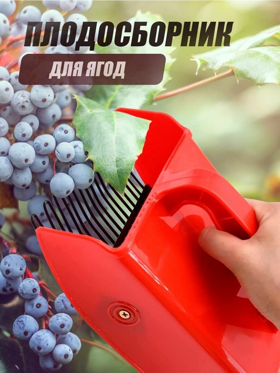 Плодосъемник, плодосборник для сбора ягод, ягодосборник