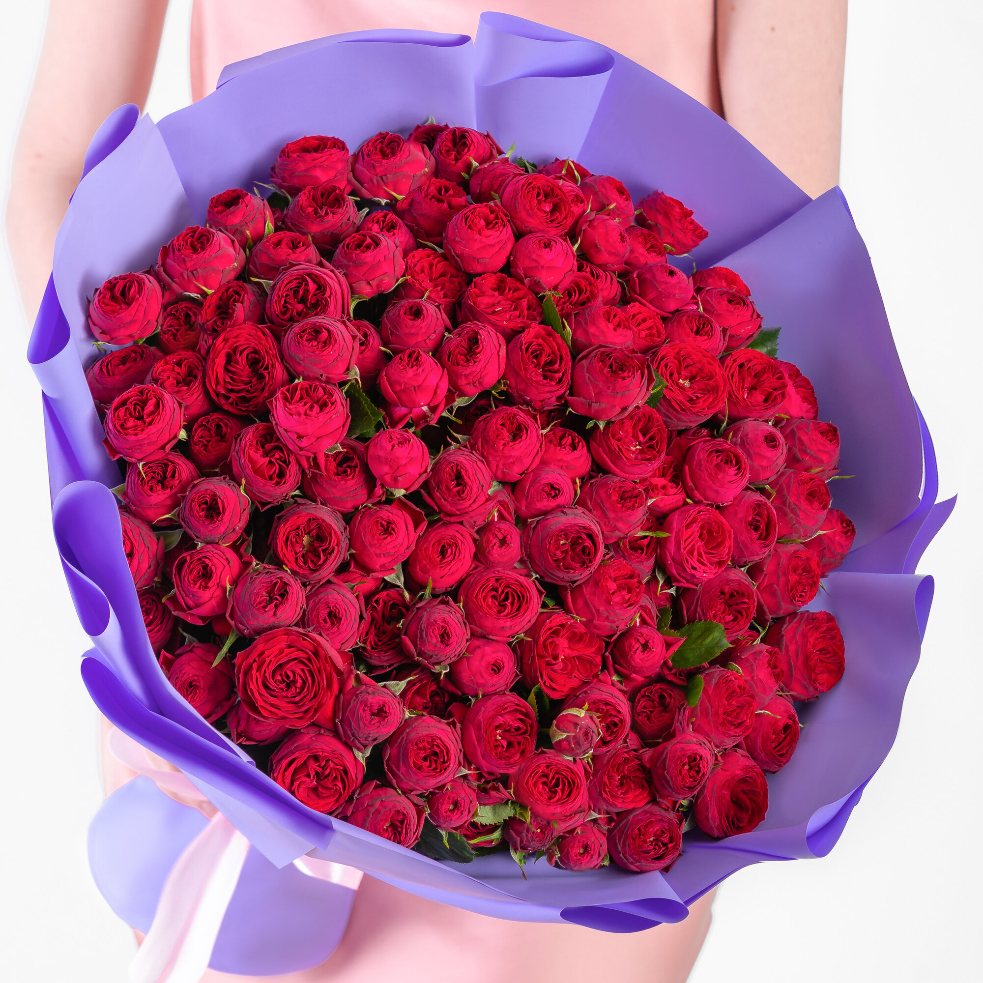 Букет Мегацвет24 "Марун", красная кустовая пионовидная роза, 40 см, 51 шт, дизайнерская упаковка