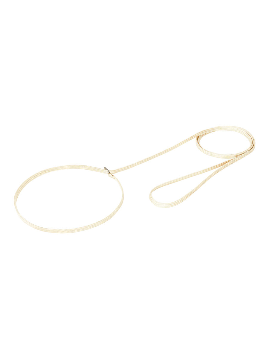 Поводок-удавка с кольцом для собак, ZooOne, лента ширина 5 мм, длина 150 см, (слоновая кость), 74-1052