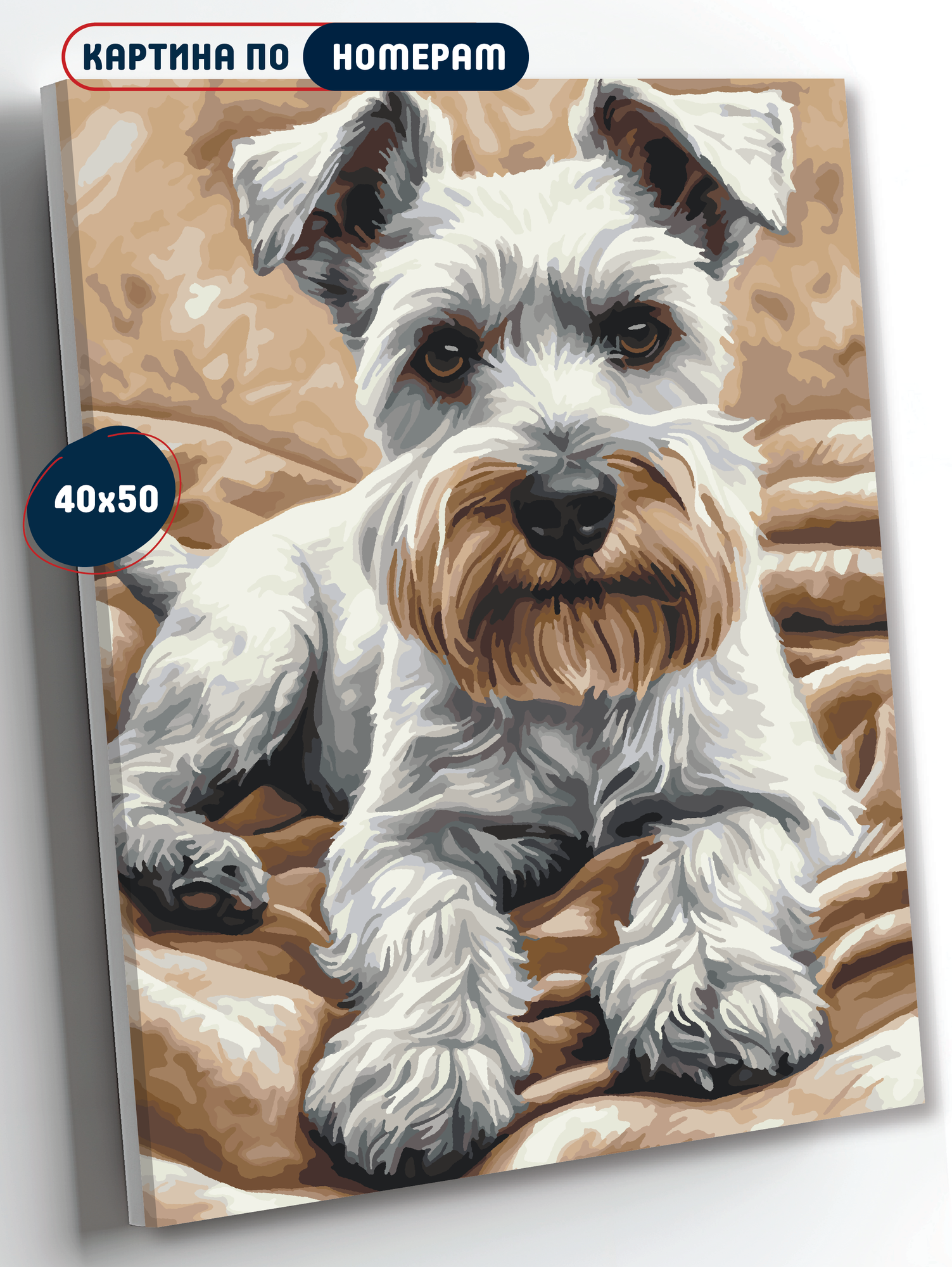 Картина по номерам "Цвергшнауцер 1", Холст на подрамнике 40х50, набор для рисования