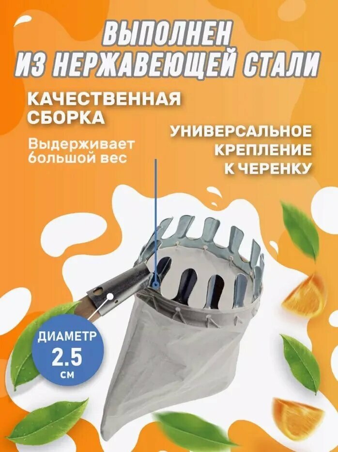 Плодосборник,14 — фото 1