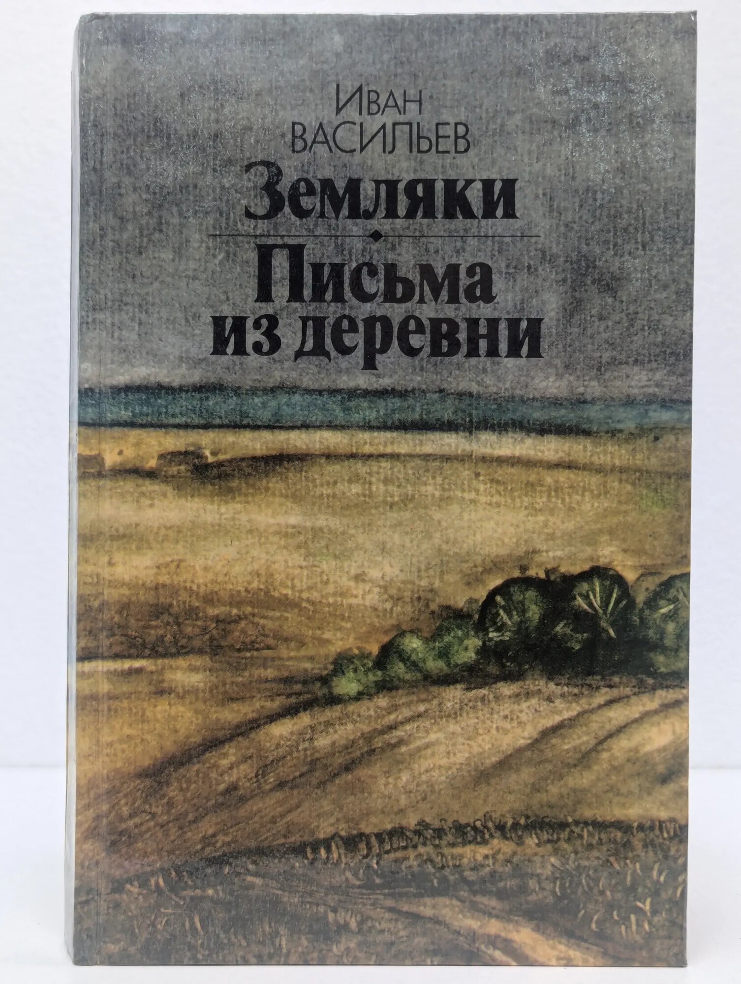 Земляки. Письма из деревни Васильев Иван Афанасьевич 1985