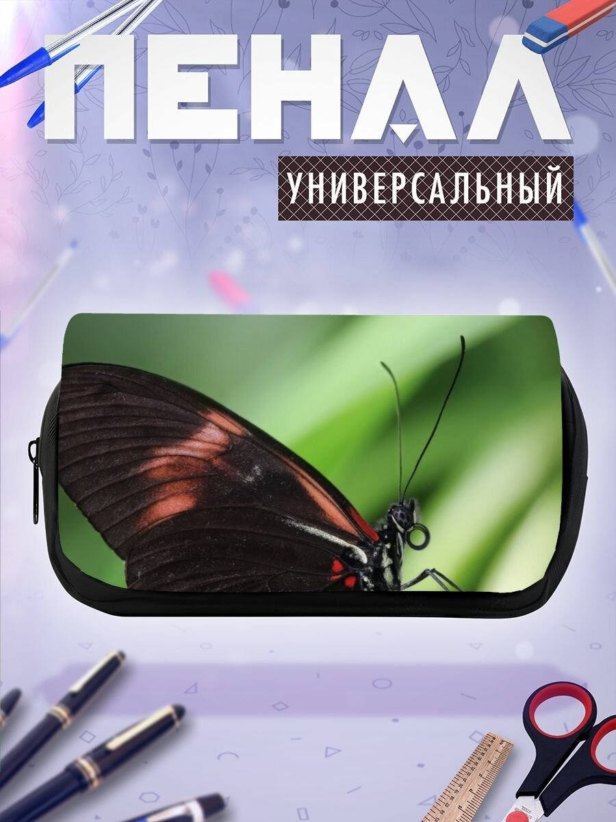 Школьный пенал мотыльки и бабочки бабочка