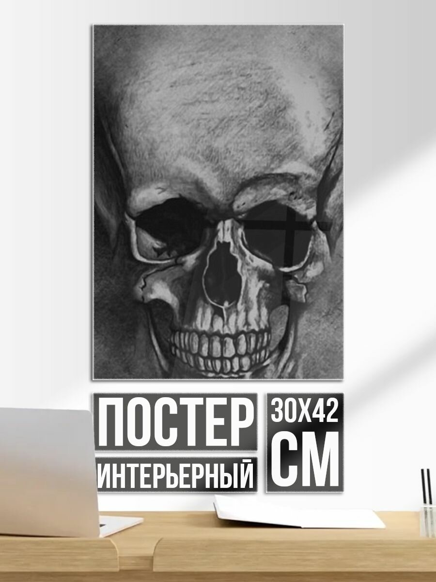 Постер на стену Череп натуральный корандашом
