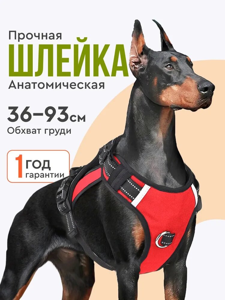 Шлейка для собак средних и крупных пород , XL