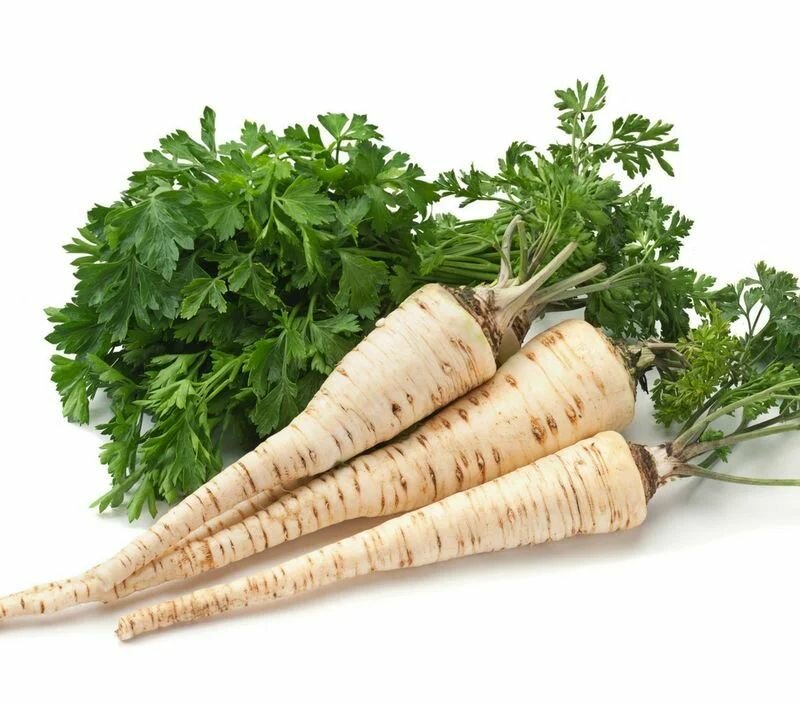 Коллекционные семена петрушки корневая Берлинская