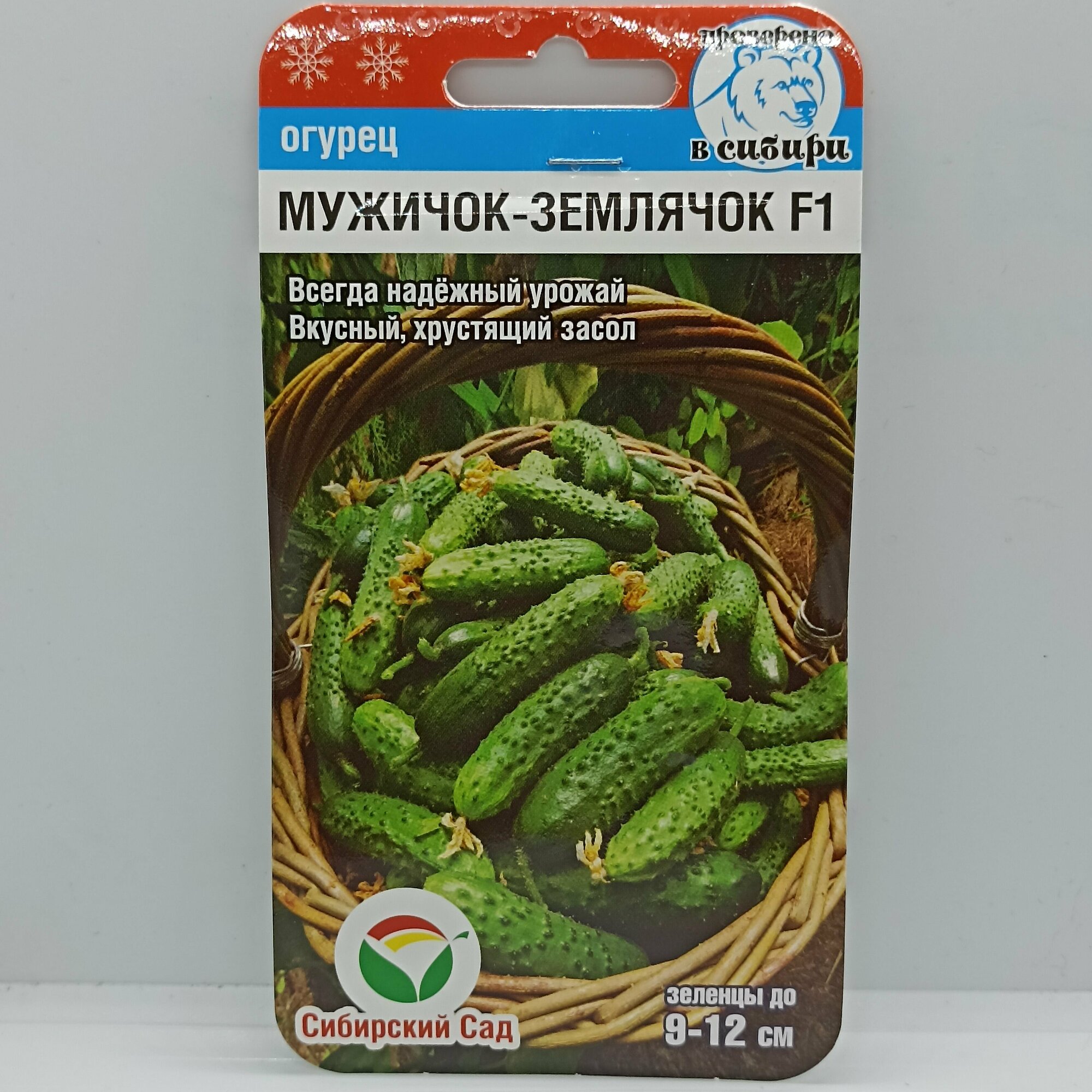 Огурец Мужичок-землячок F1 (Сибирский сад), всегда надежный урожай, вкусный хрустящий засол, 7 семян
