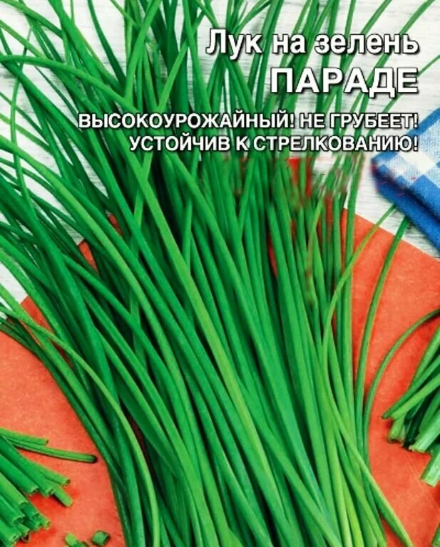 Коллекционные семена лука на зелень "Параде"