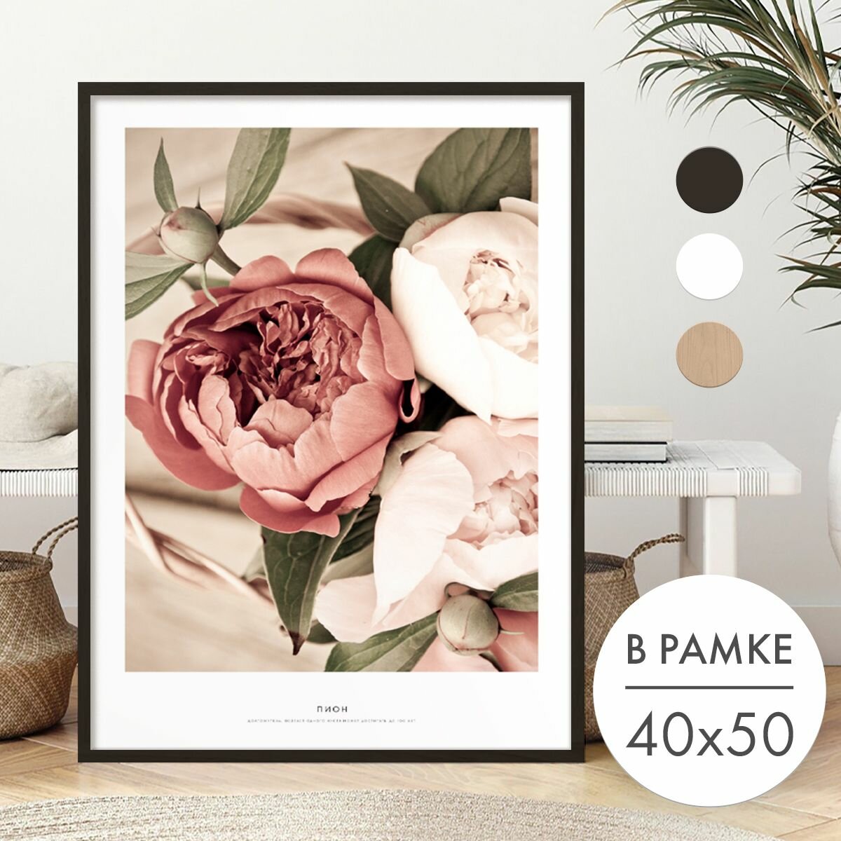 Постер 40х50 В рамке "Пионы" для интерьера