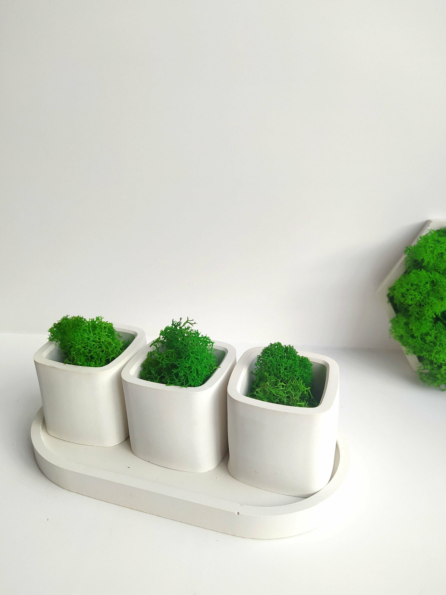 Кашпо со мхом из гипса, подсвечники 3 шт, поднос