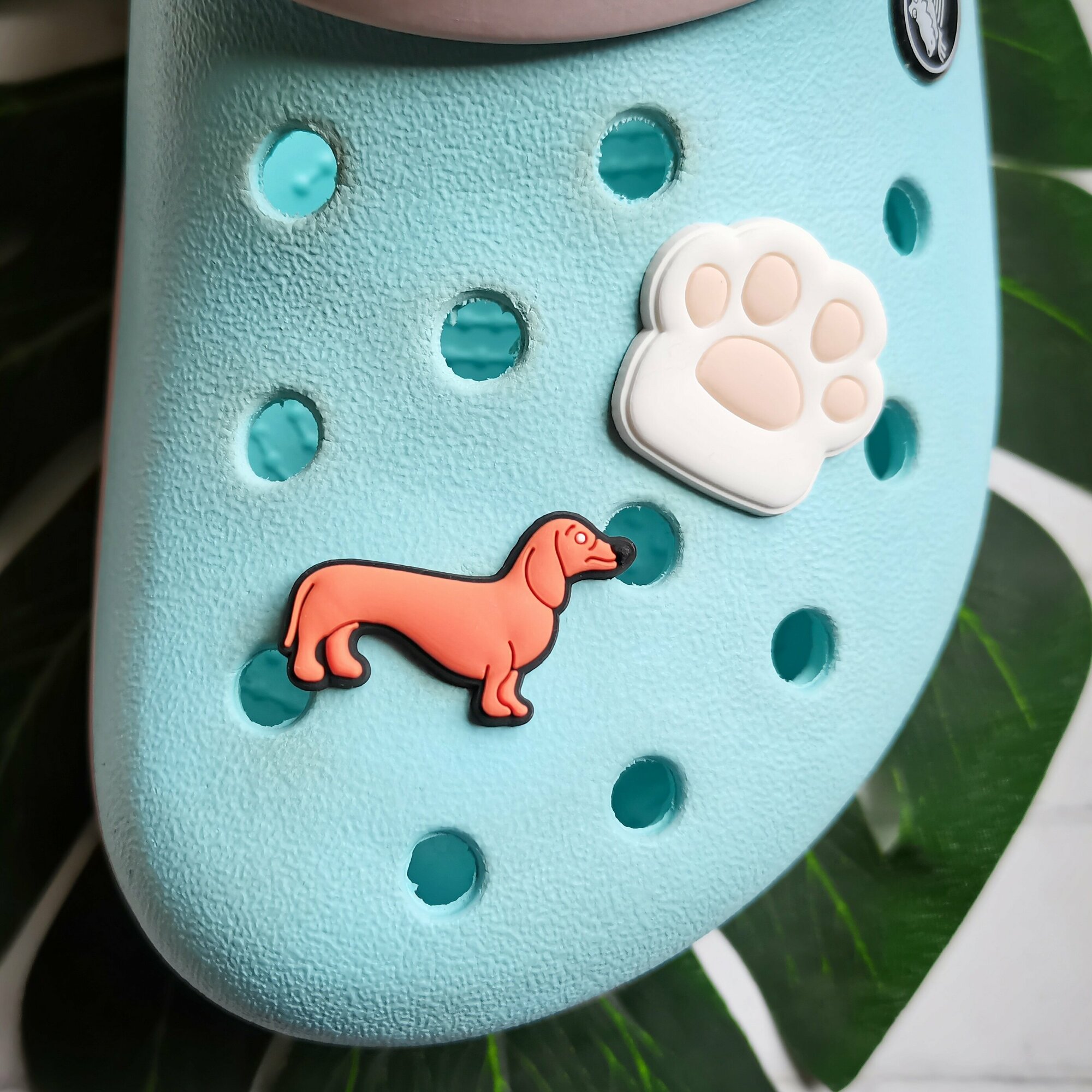 Джибитс Такса собака на Crocs — фото 1