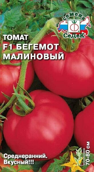 Томат Бегемот малиновый F1 0,05гр. (Седек)