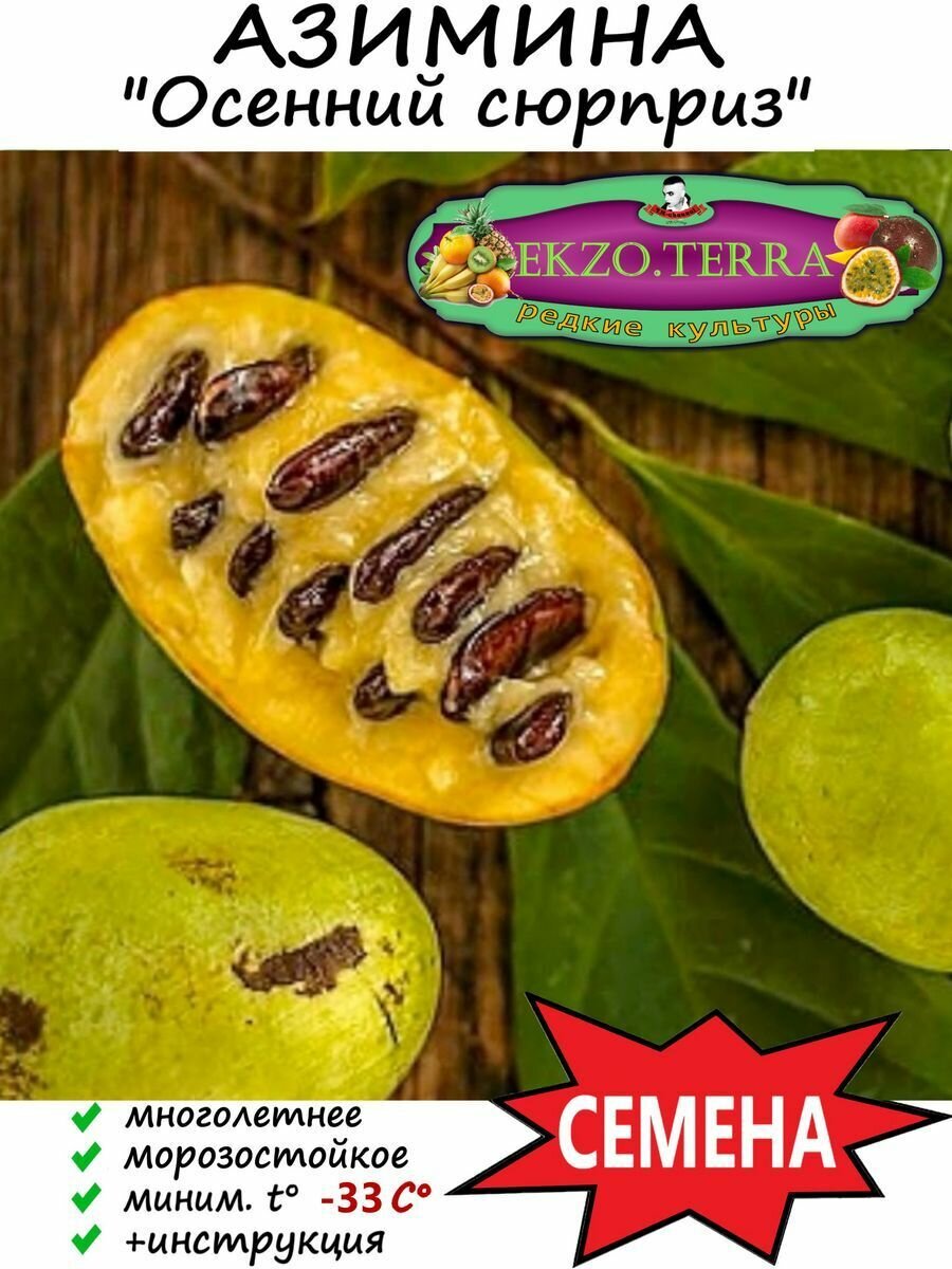 Семена Азимина "Осенний сюрприз" 4 шт.