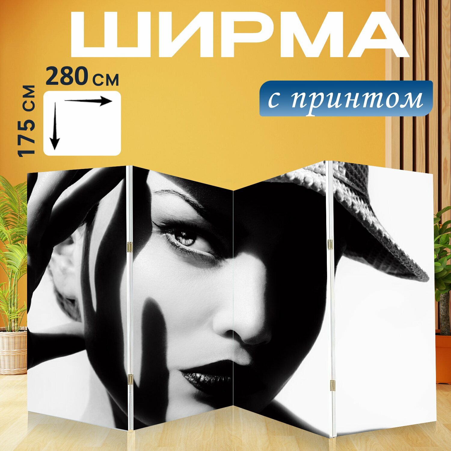 Ширма "Черное и белое, темный, молодой" перегородка для зонирования комнаты с принтом 280x175 см. на холсте