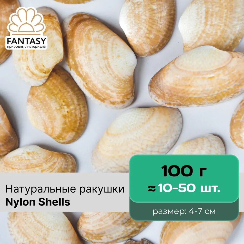 Натуральные морские ракушки FANTASY Nylon Shells, набор весом 100 г (10-50 шт.), размер: 4-7 см