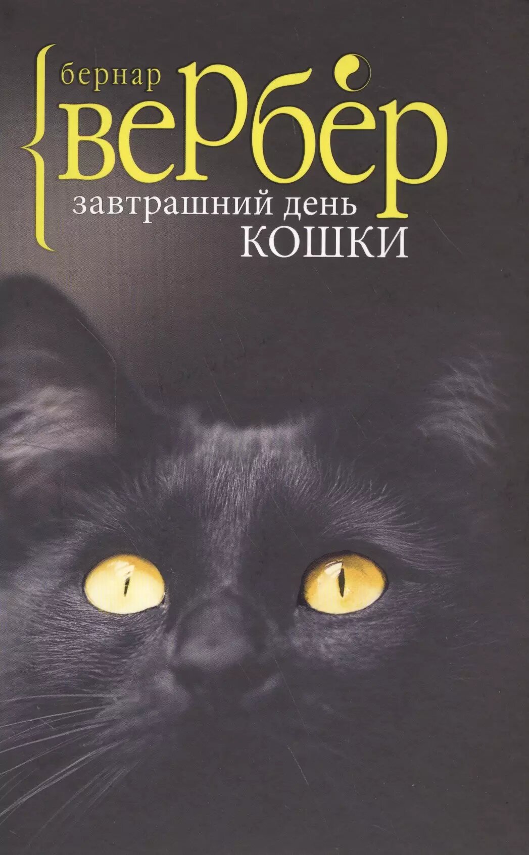 Завтрашний день кошки