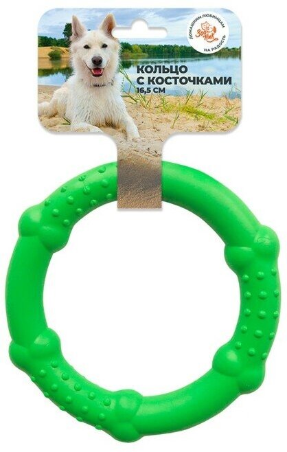 Зооник Игрушка д/собак Кольцо с косточками 16,5см салатовая