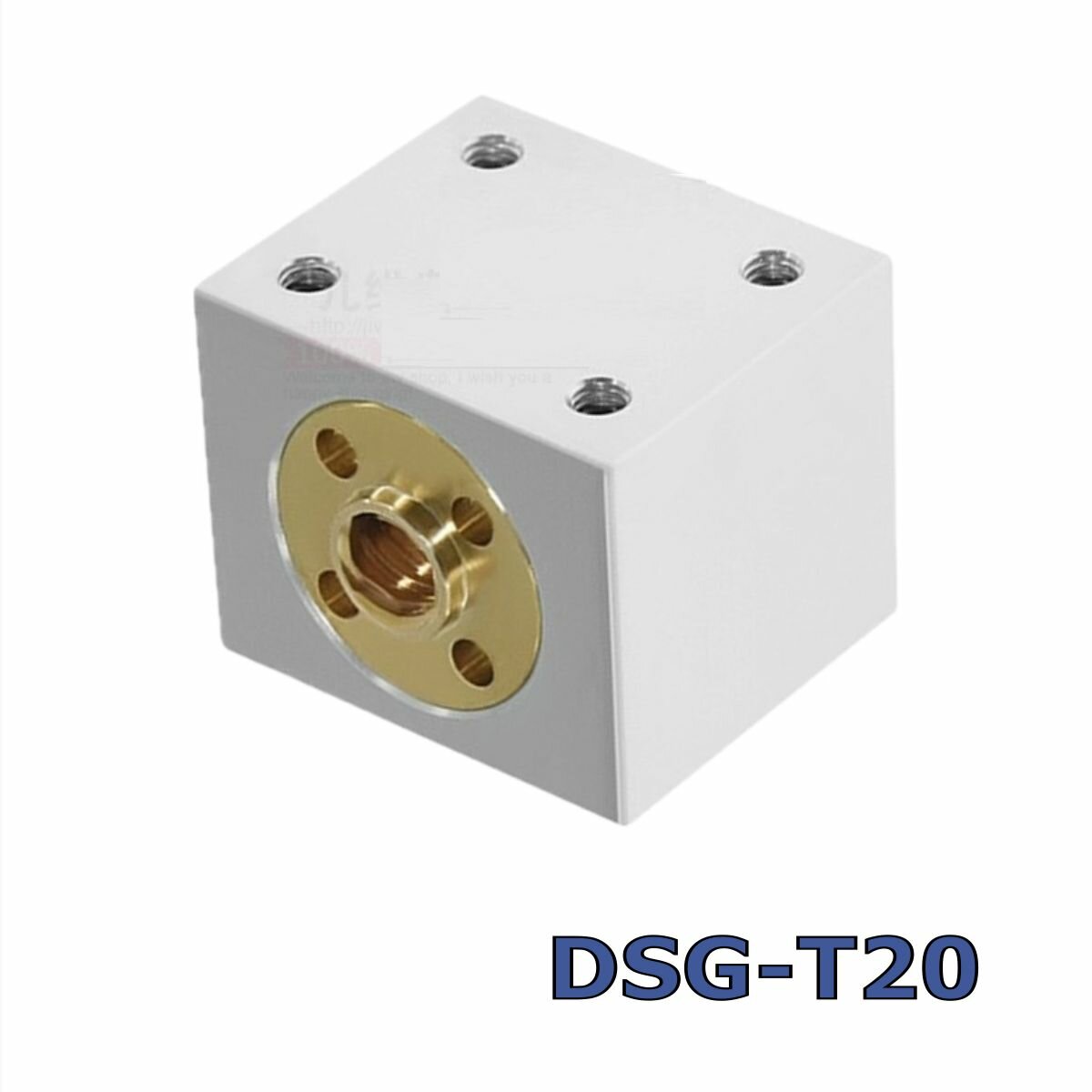 Модуль крепления/держатель гайки трапеции DSG-T20